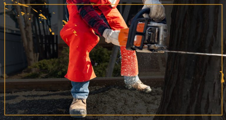 Tree Service Powder Springs, GA | Free Estimates | All In Tree Services
